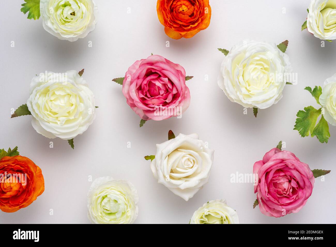 Creative layout of beautiful rose flowers on white background. Minimal ...