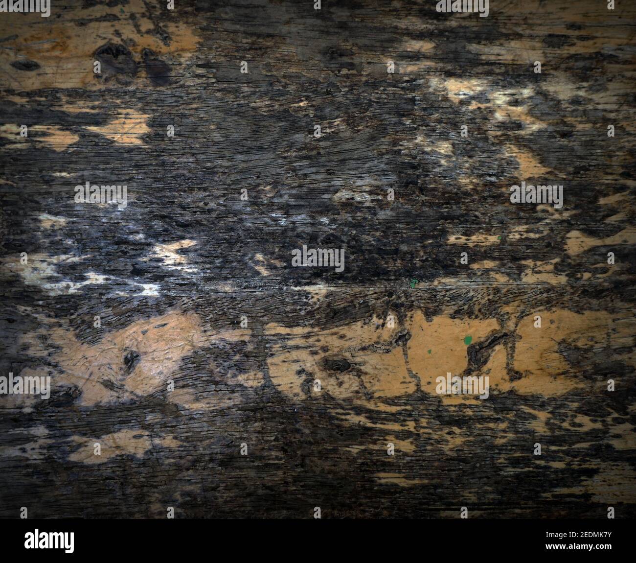 Wood ,surface ,Log , background, from Thailand Stock Photo - Alamy