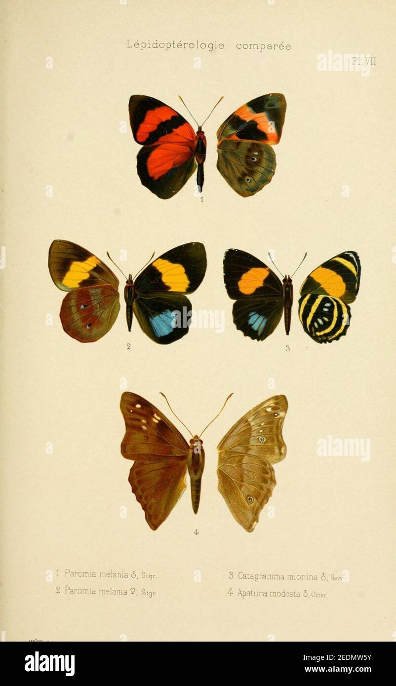 Oberthur hi-res stock photography and images - Alamy