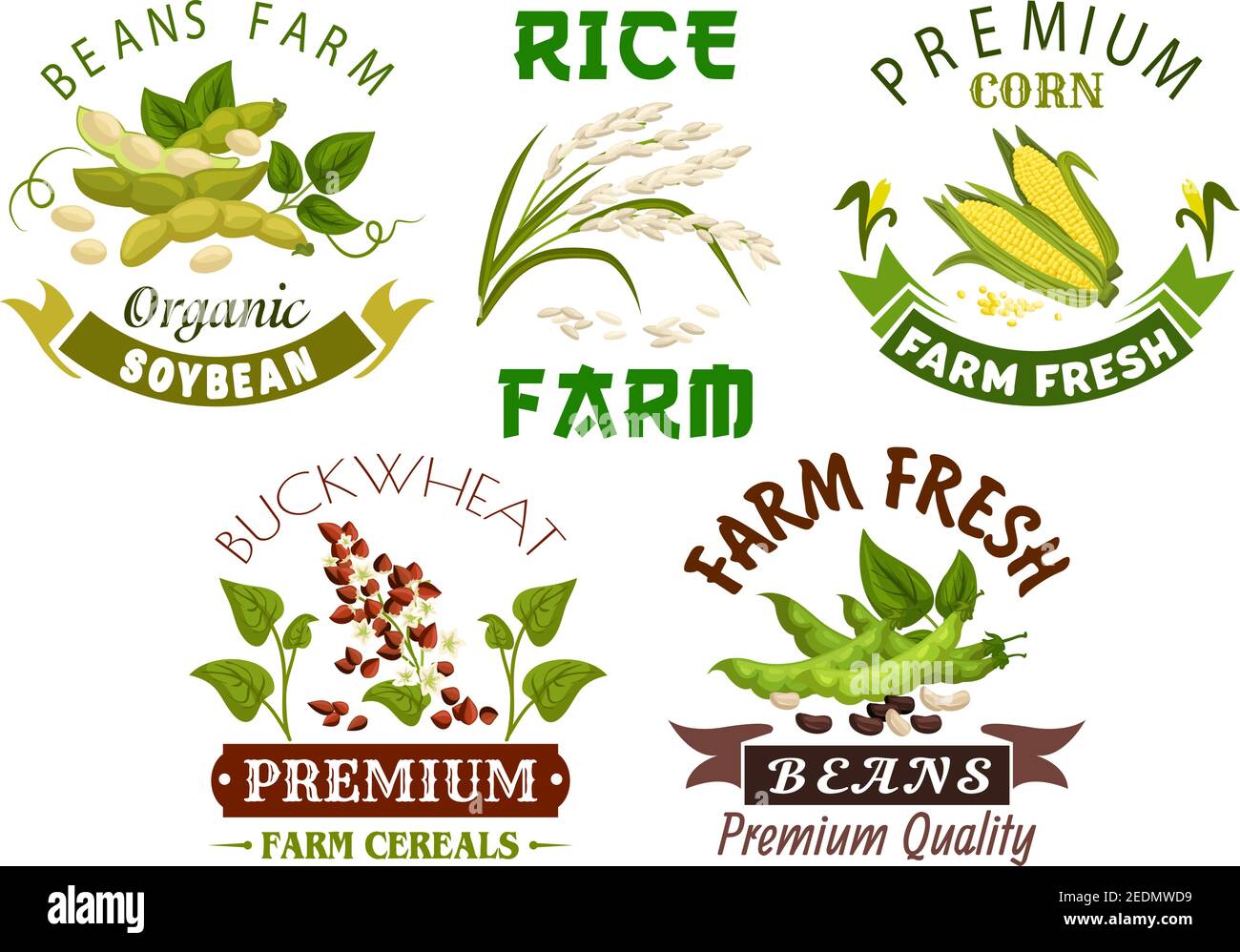 Vegetable, bean and cereal farm emblem set. Fresh corn cob, rice and ...