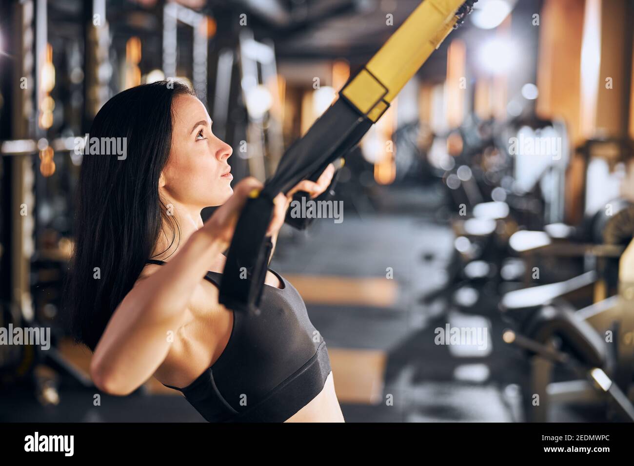 Sporty female during strength workout in gym Stock Photo - Alamy