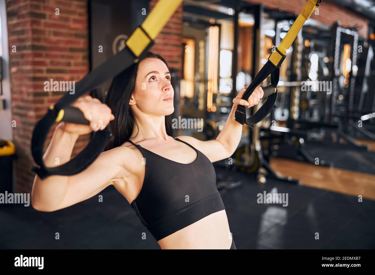 Young woman training with suspension webbing in studio Stock Photo - Alamy