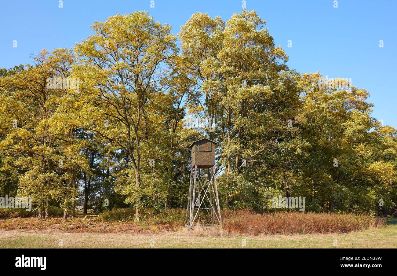 Picture of a wooden hunting tower in autumn Stock Photo - Alamy