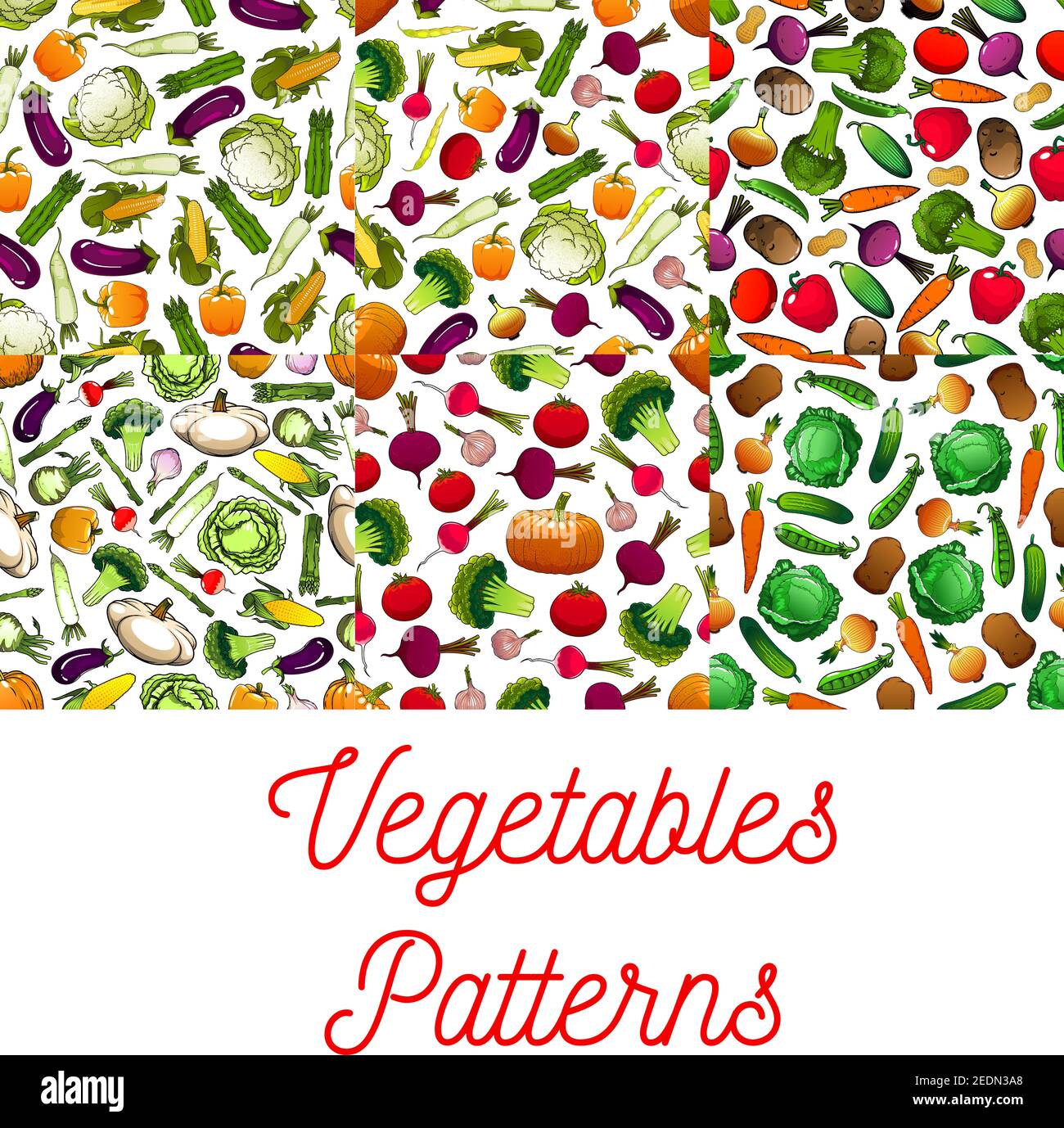 Vegetables patterns of farm vegetables on white background. Vegetarian ...