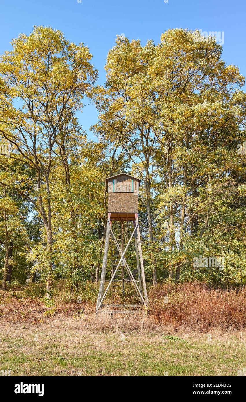 Picture of a wooden hunting tower in autumn Stock Photo - Alamy