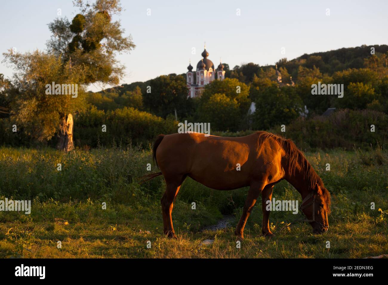 Moldova back hi-res stock photography and images - Alamy