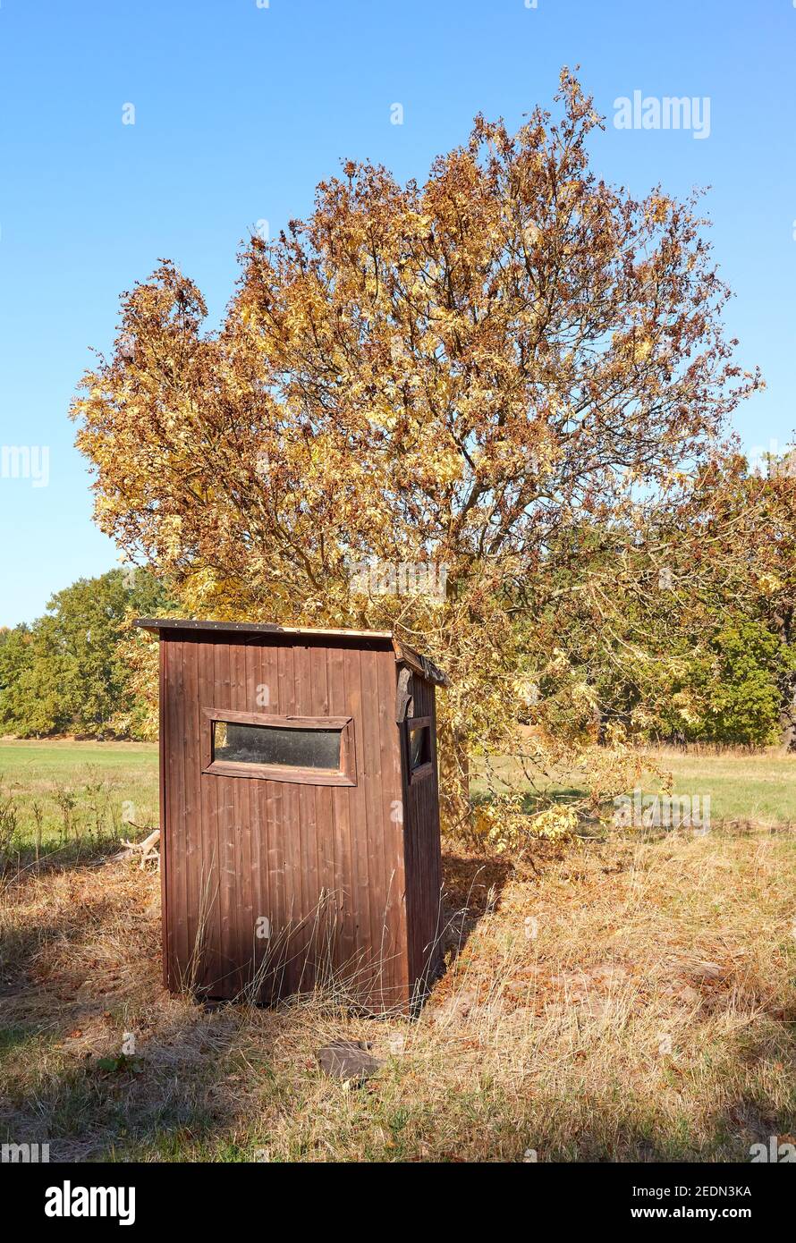 Picture of a wooden hunting hide in autumn Stock Photo - Alamy