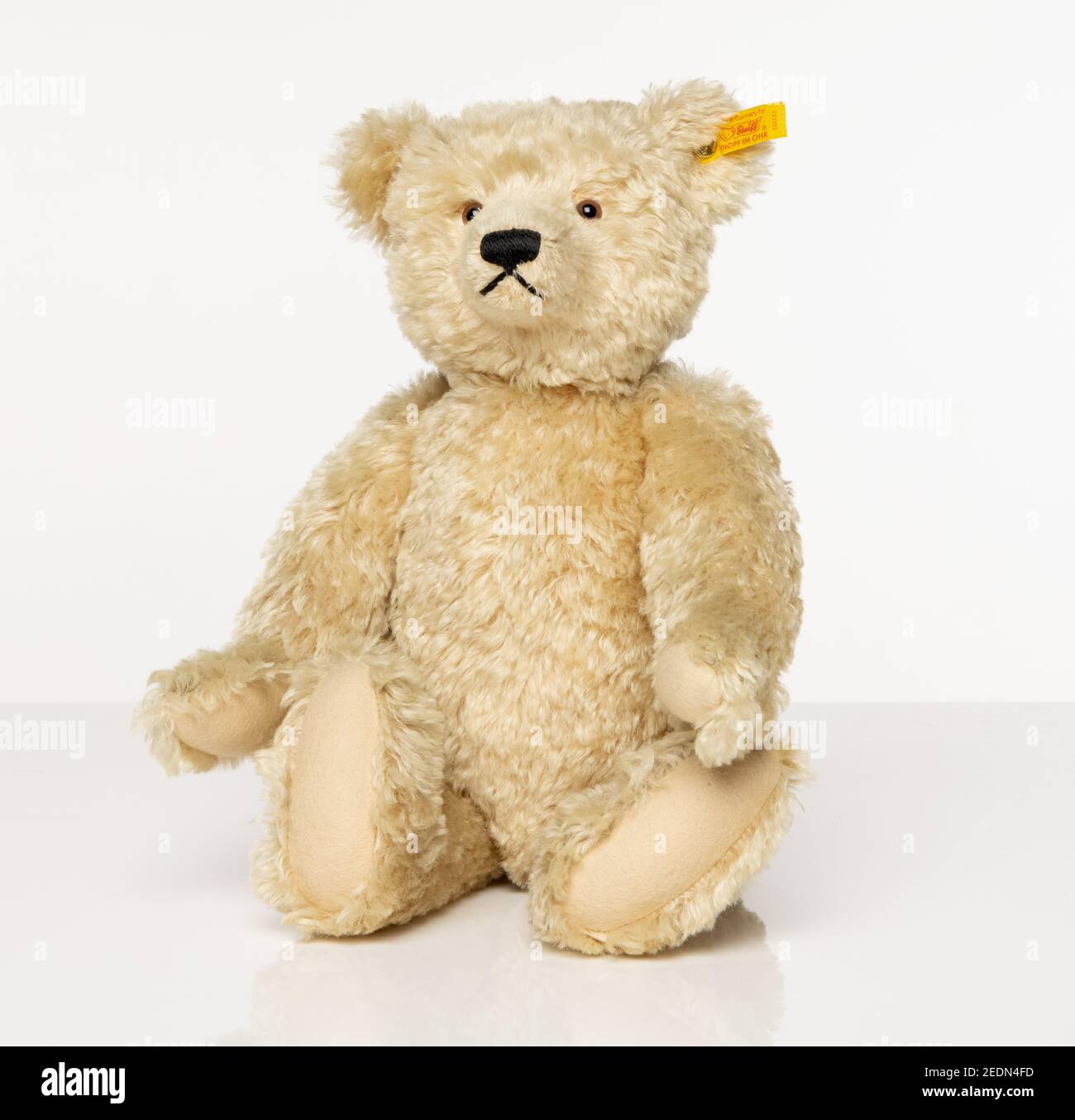 German teddy bear hi-res stock photography and images - Alamy
