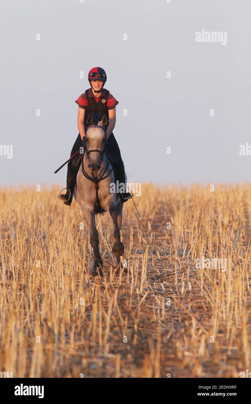Frontal eye field hi-res stock photography and images - Alamy
