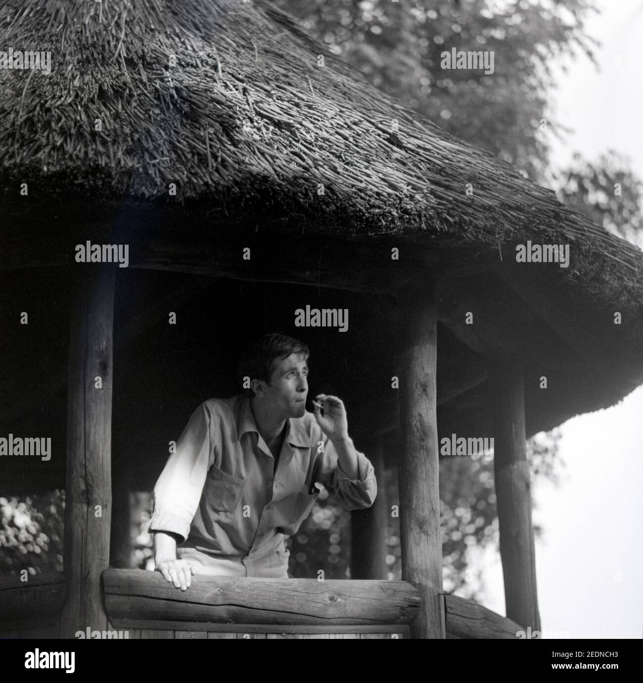Klaus Peter Thiele