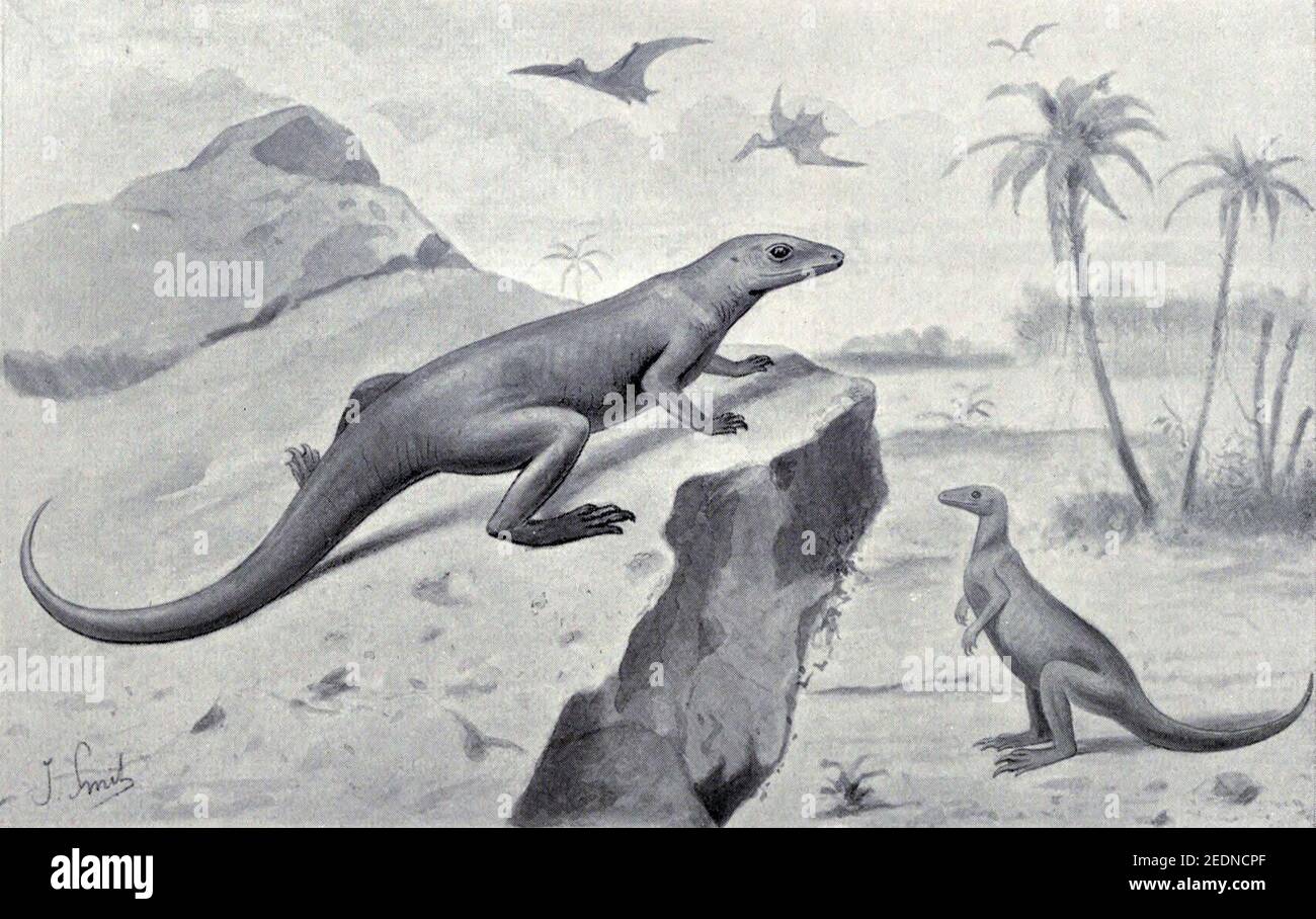 Hypsilophodon hi-res stock photography and images - Alamy