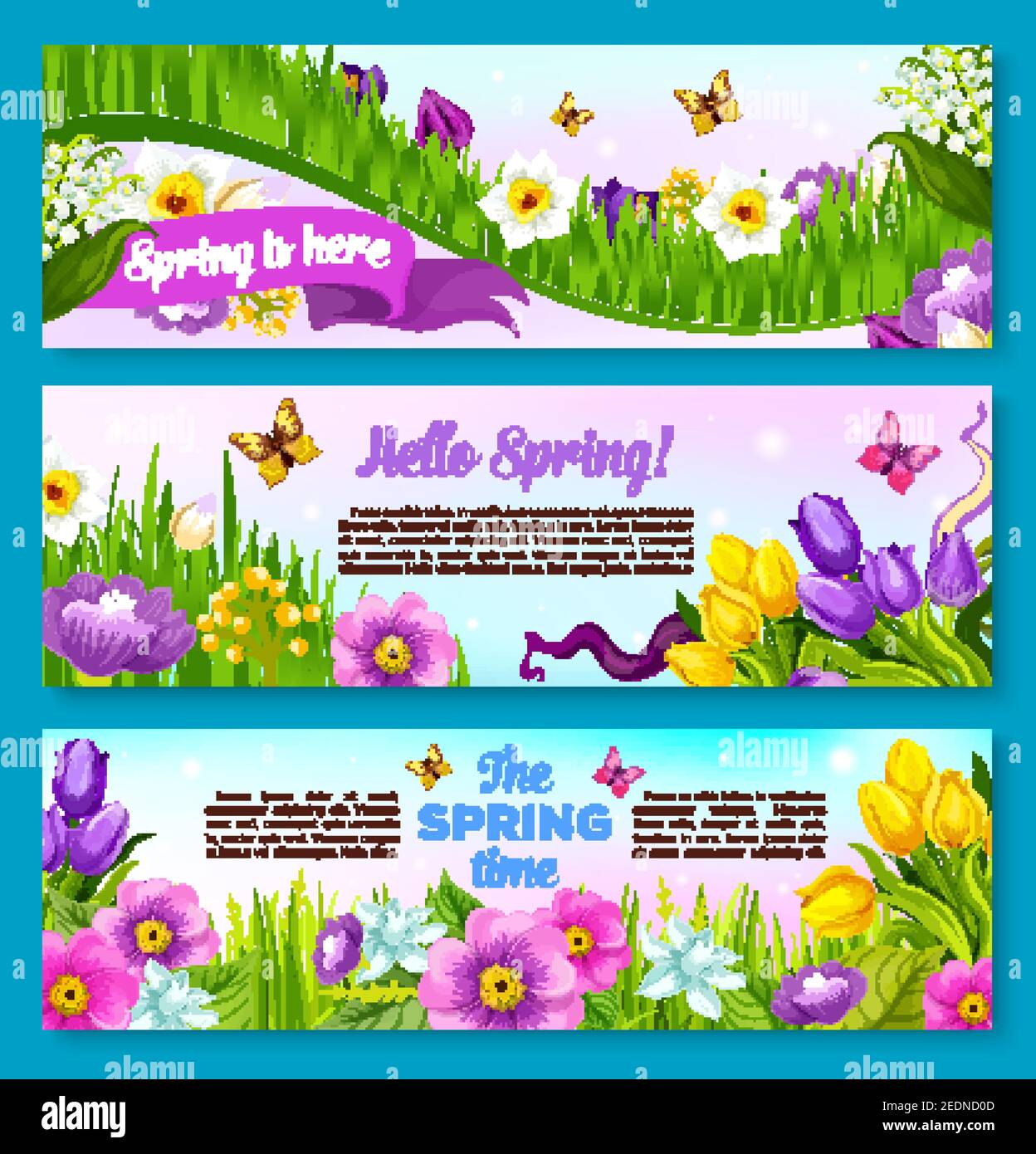 Spring flower banner set. Springtime floral background of green grass ...