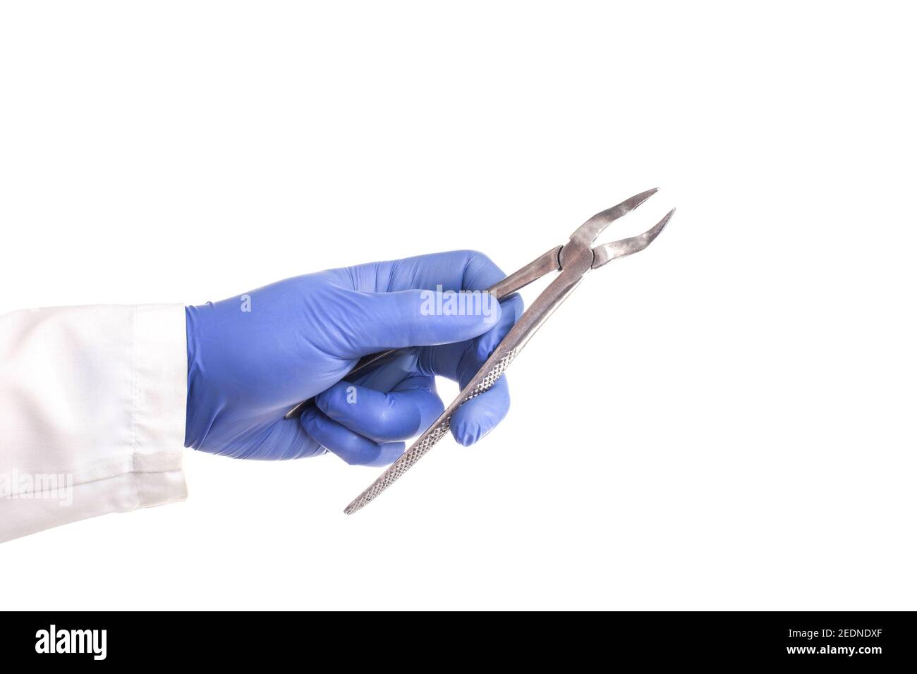 Dental forceps in hand hi-res stock photography and images - Alamy