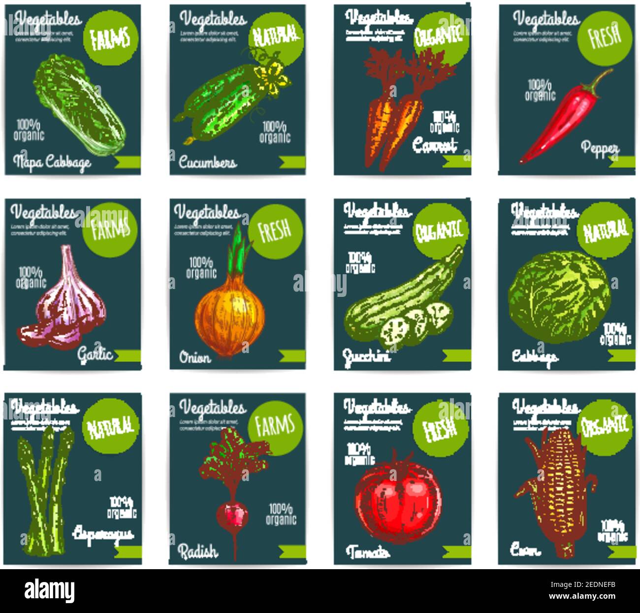 Vegetables tags and veggies price labels vector set price labels for ...