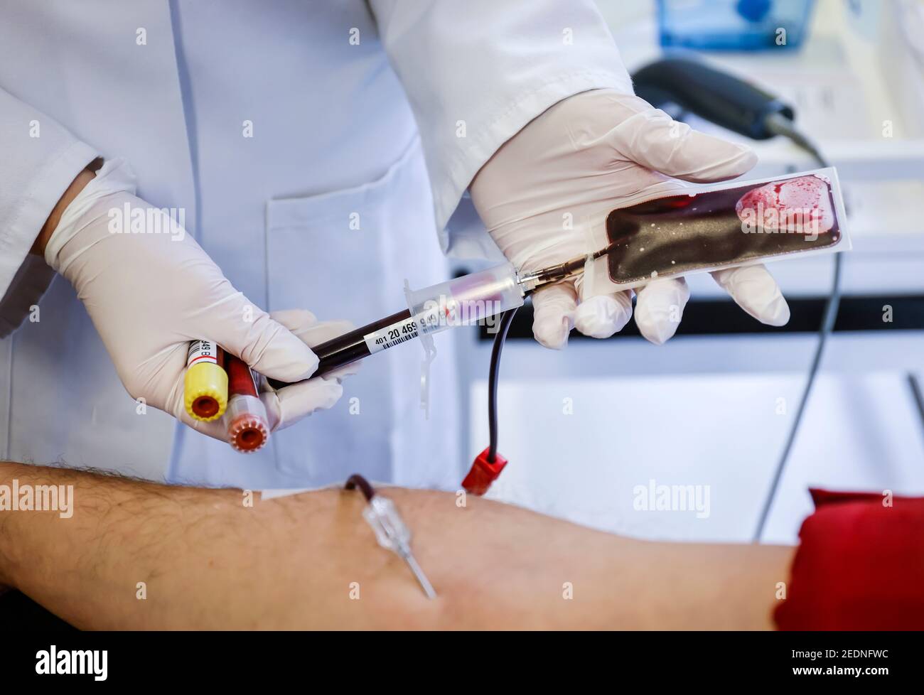 Blood samples in blood collection hi-res stock photography and images ...