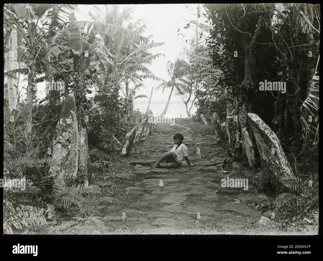Oc,G.T.1675, Mana Expedition to East Polynesia Stock Photo - Alamy