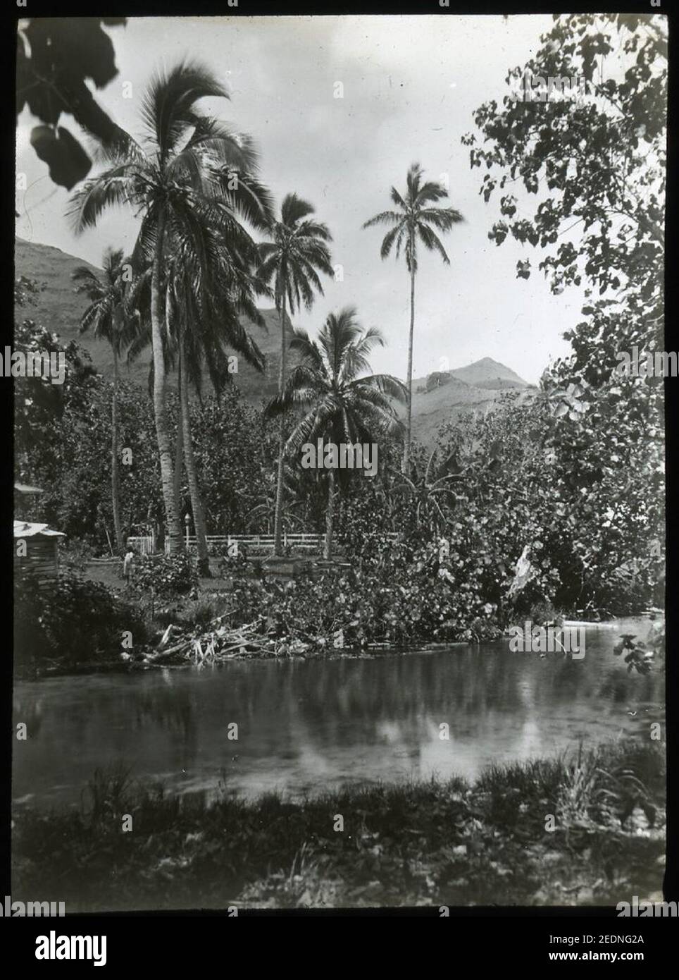 Oc,G.T.1681, Mana Expedition to East Polynesia Stock Photo - Alamy