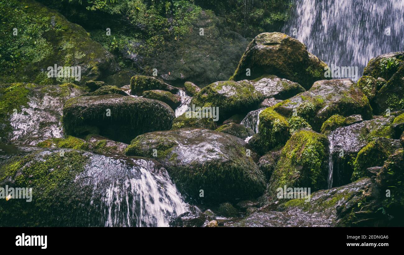 Waterfall inside the forest hi-res stock photography and images - Alamy
