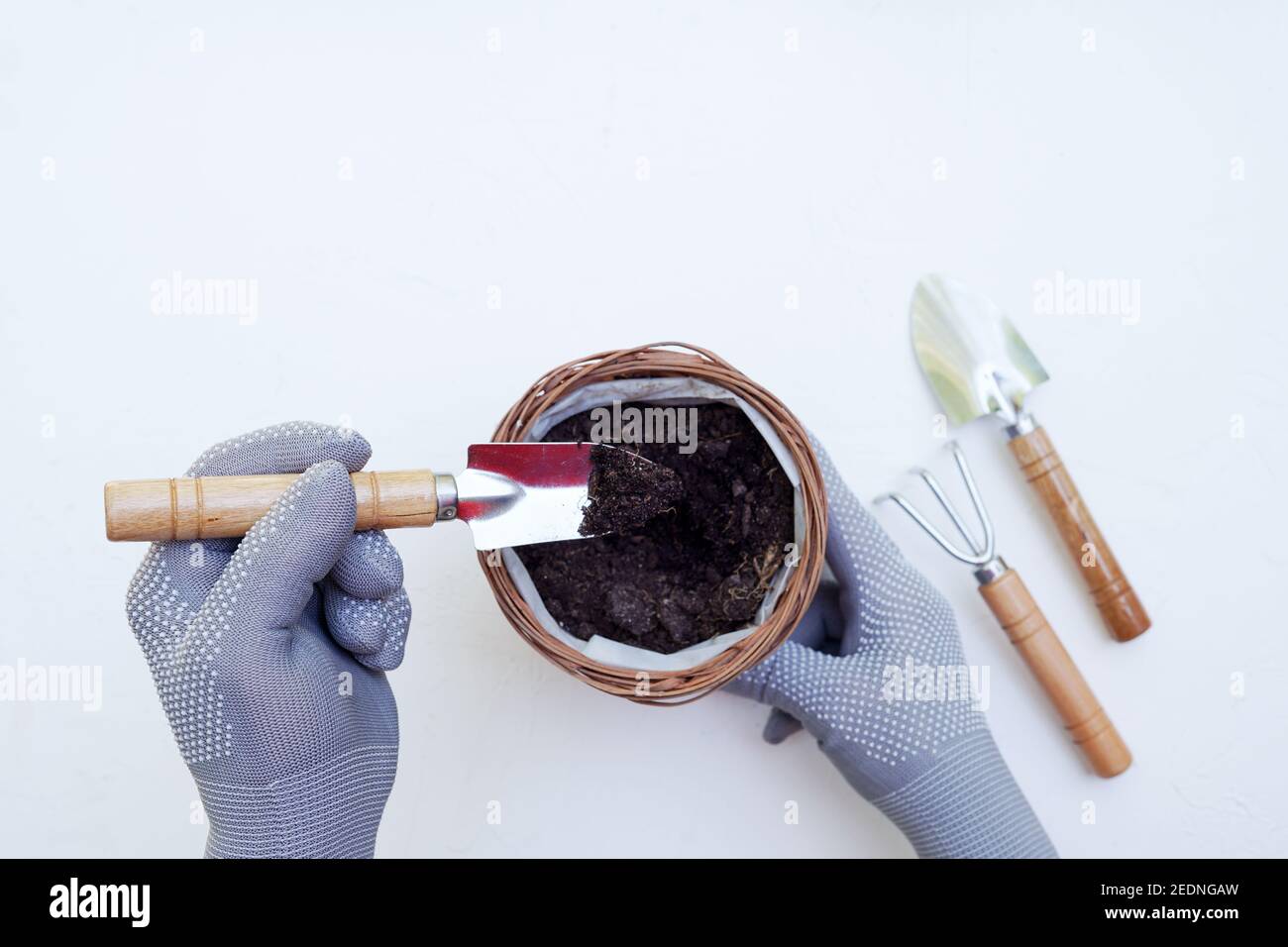 Female gardeners hands hi-res stock photography and images - Alamy