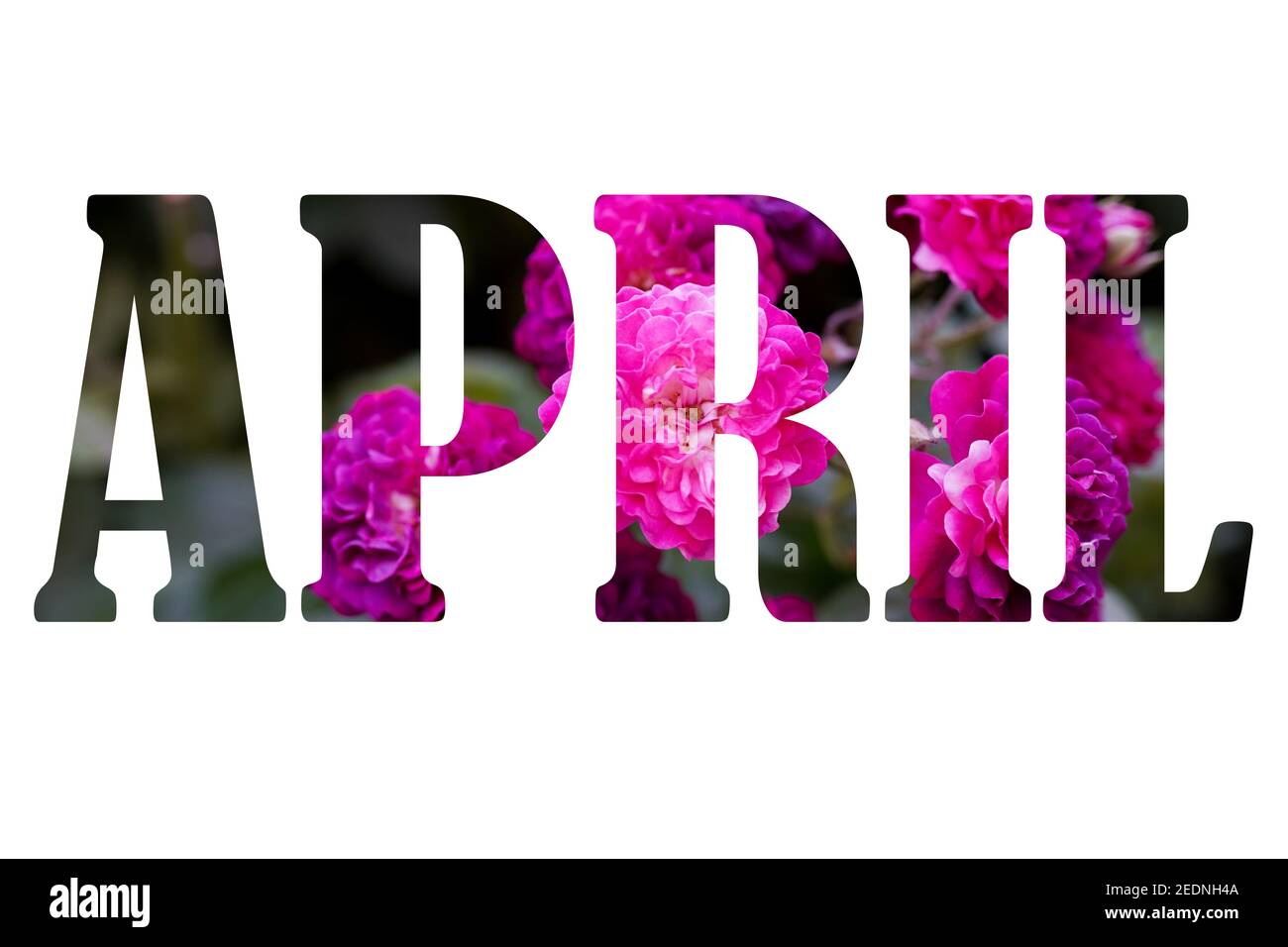 text April from flowers nature background isolated on white . spring ...