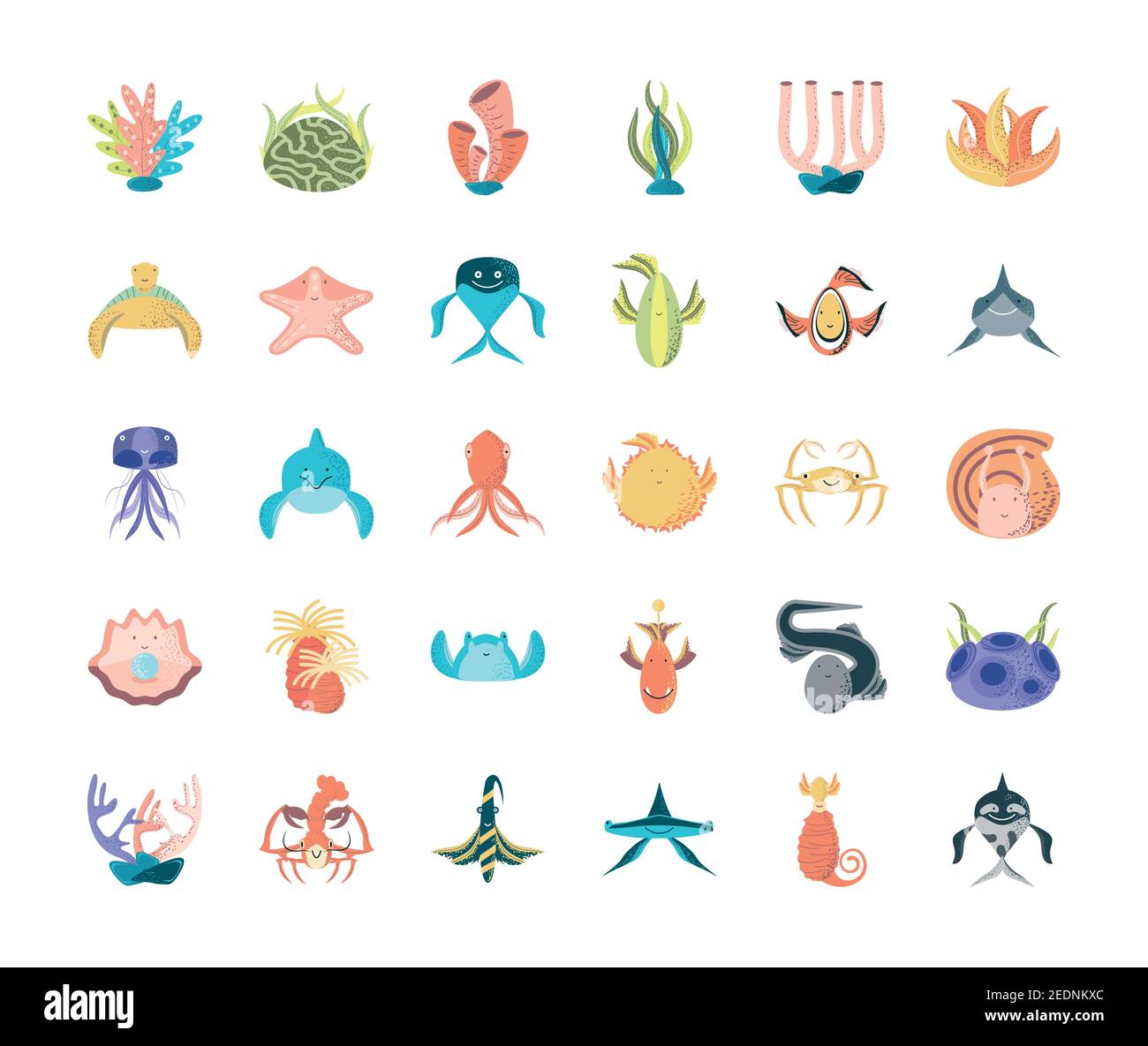 underwater world sea fishes whale dolphin starfish jellyfish crab ...