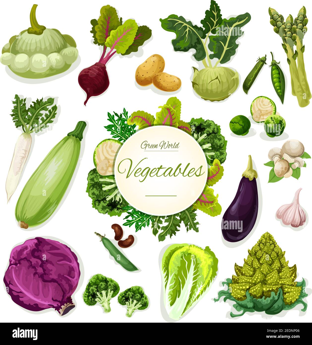 Green vegetable and bean cartoon poster. Fresh broccoli, cabbage, beet ...