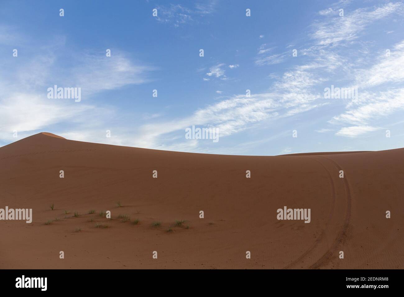 beauty dunes in the sahara desert in the country of morocco in africa ...