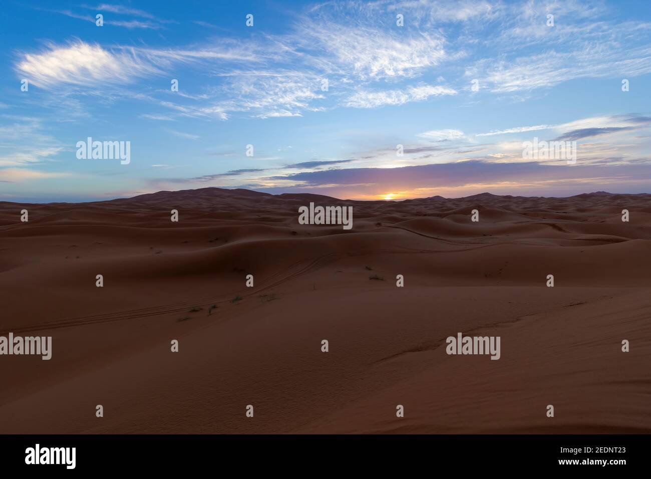 beauty dunes in the sahara desert in the country of morocco in africa ...