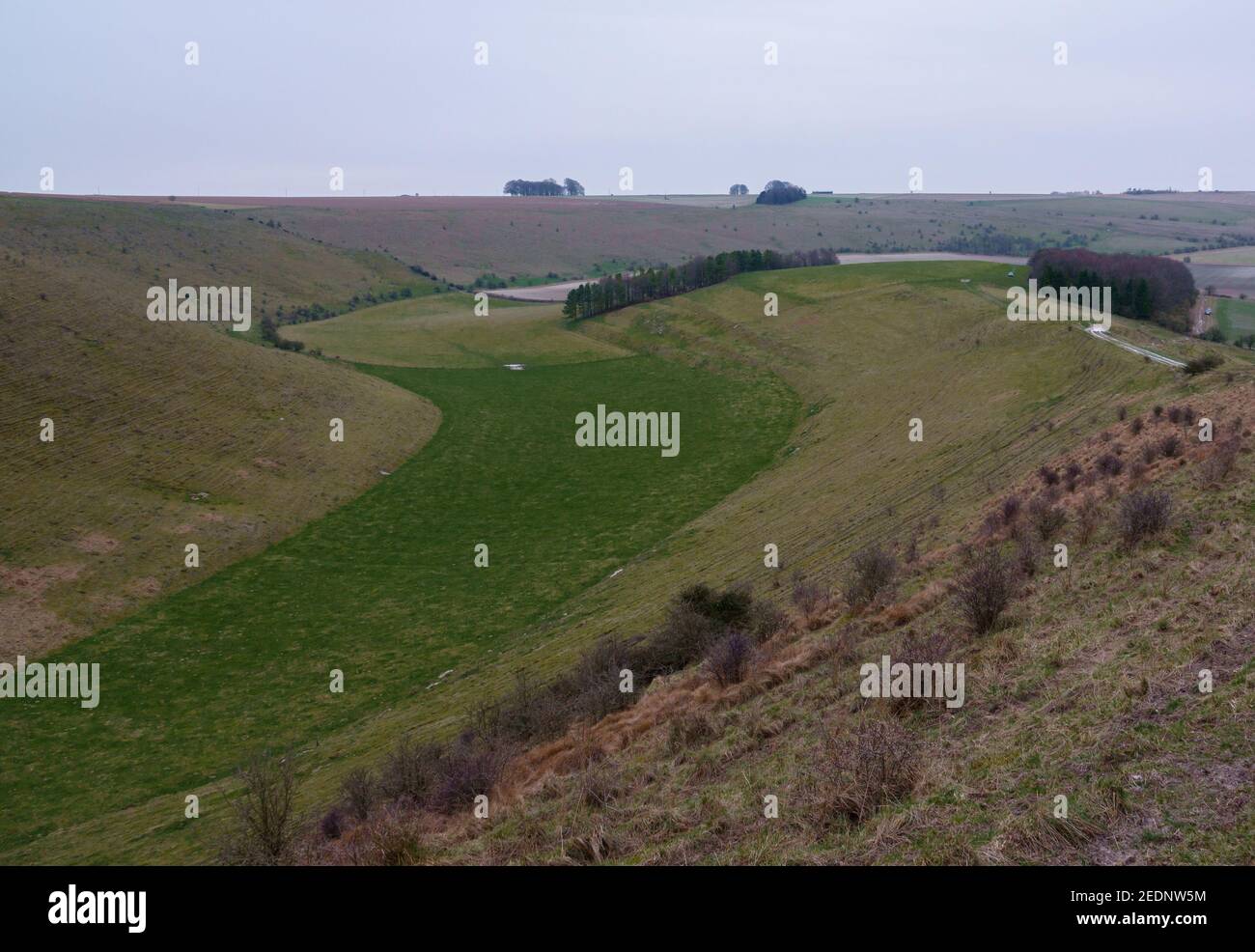 view of the up-faulted Southern edge of Pewsey Vale with copse woodland ...