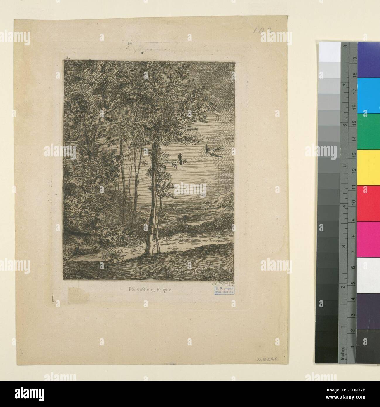 Philomele et progne hi-res stock photography and images - Alamy