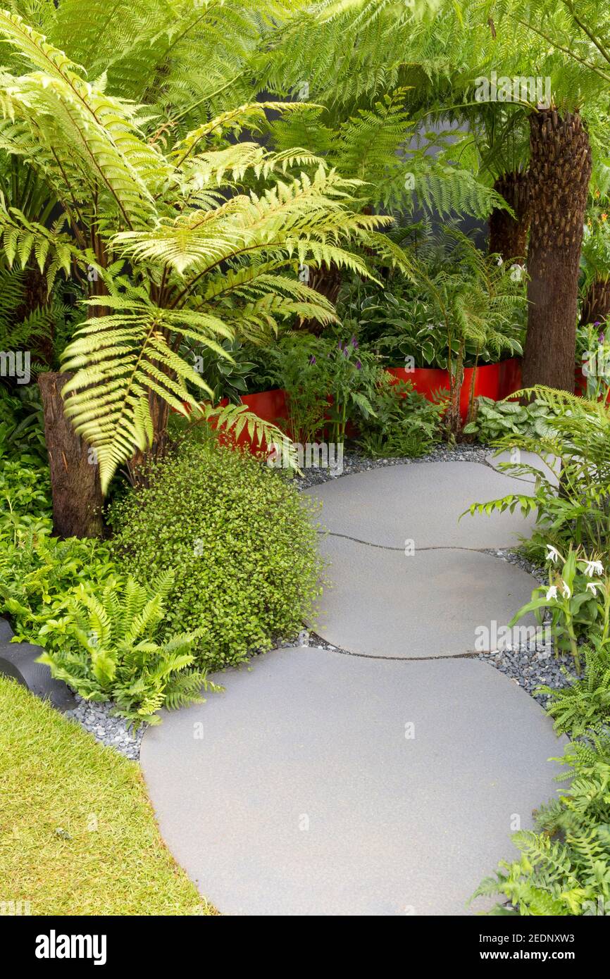 Uk garden fern hi-res stock photography and images - Alamy