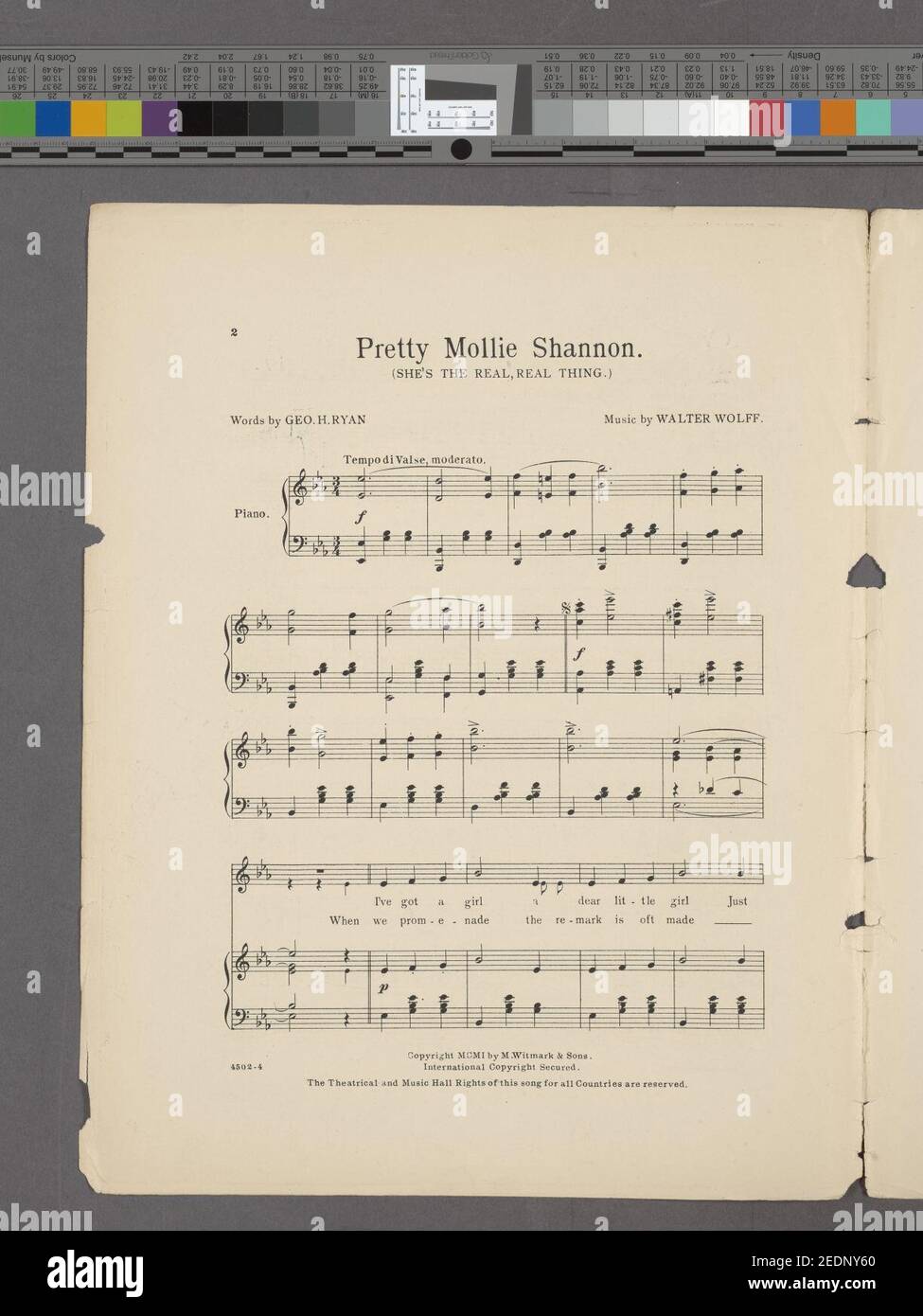 Pretty Mollie Shannon (she's the real thing Stock Photo - Alamy