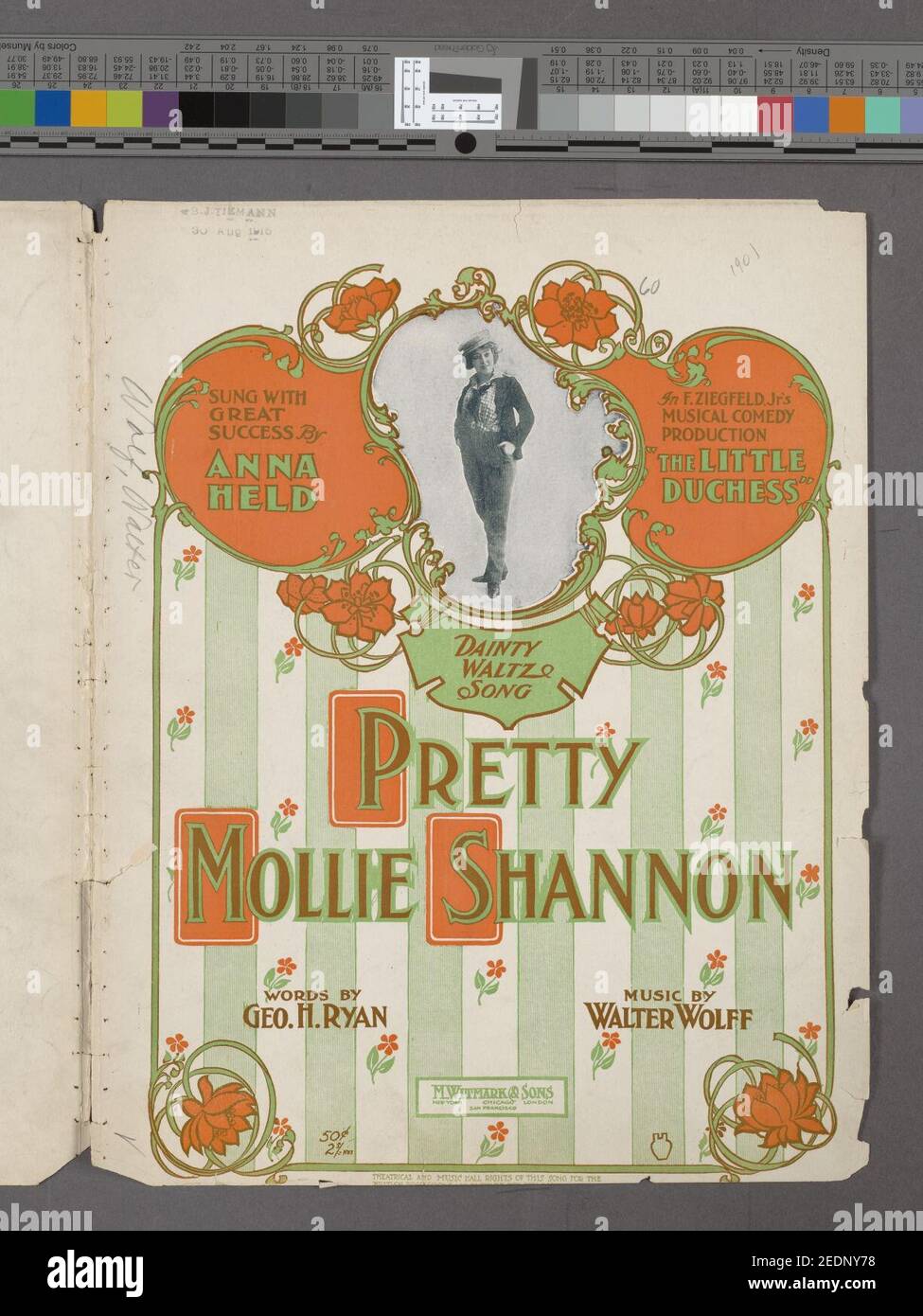 Pretty Mollie Shannon (she's the real thing Stock Photo - Alamy