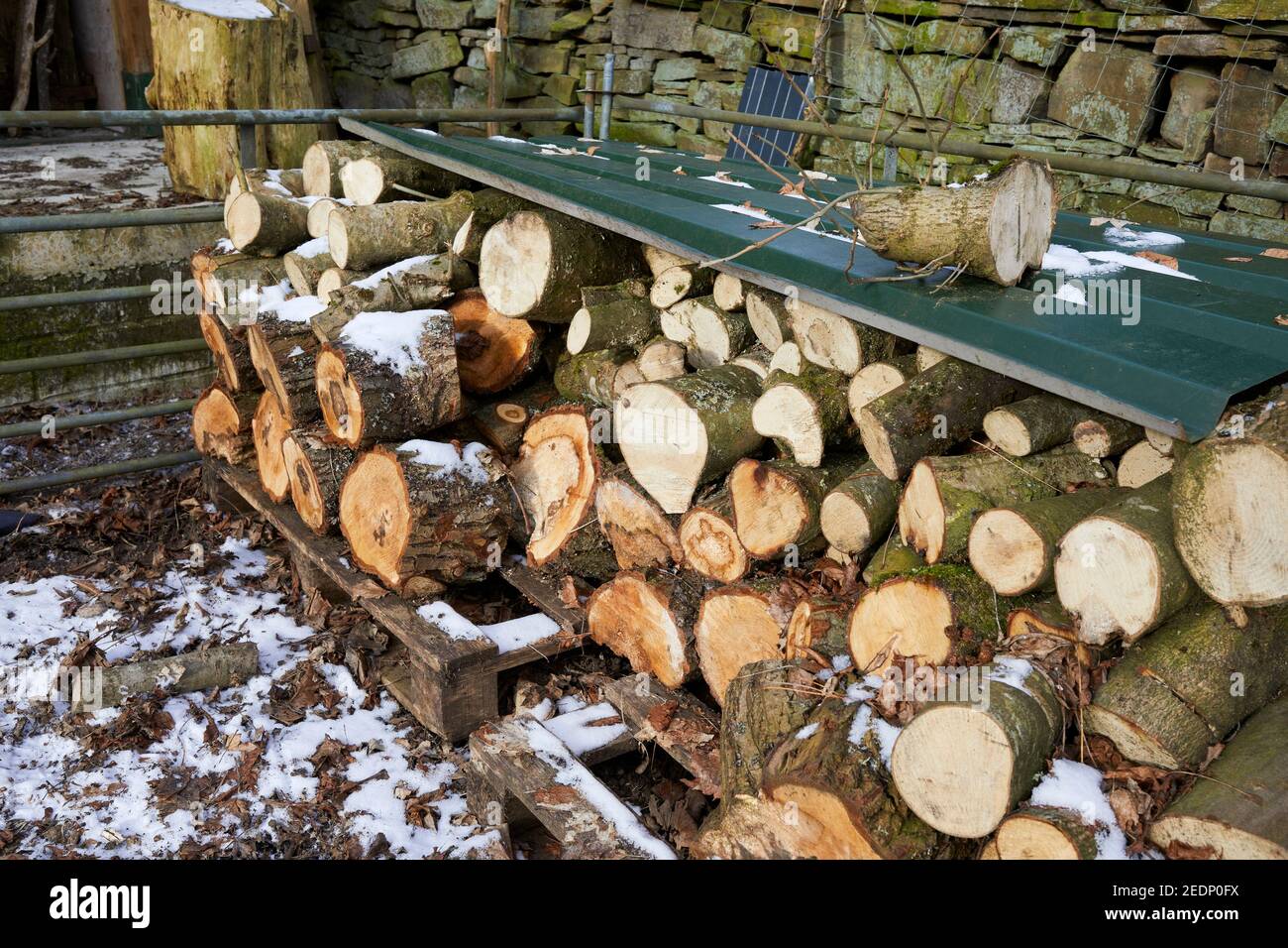 Sawn logs seasoning hi-res stock photography and images - Alamy