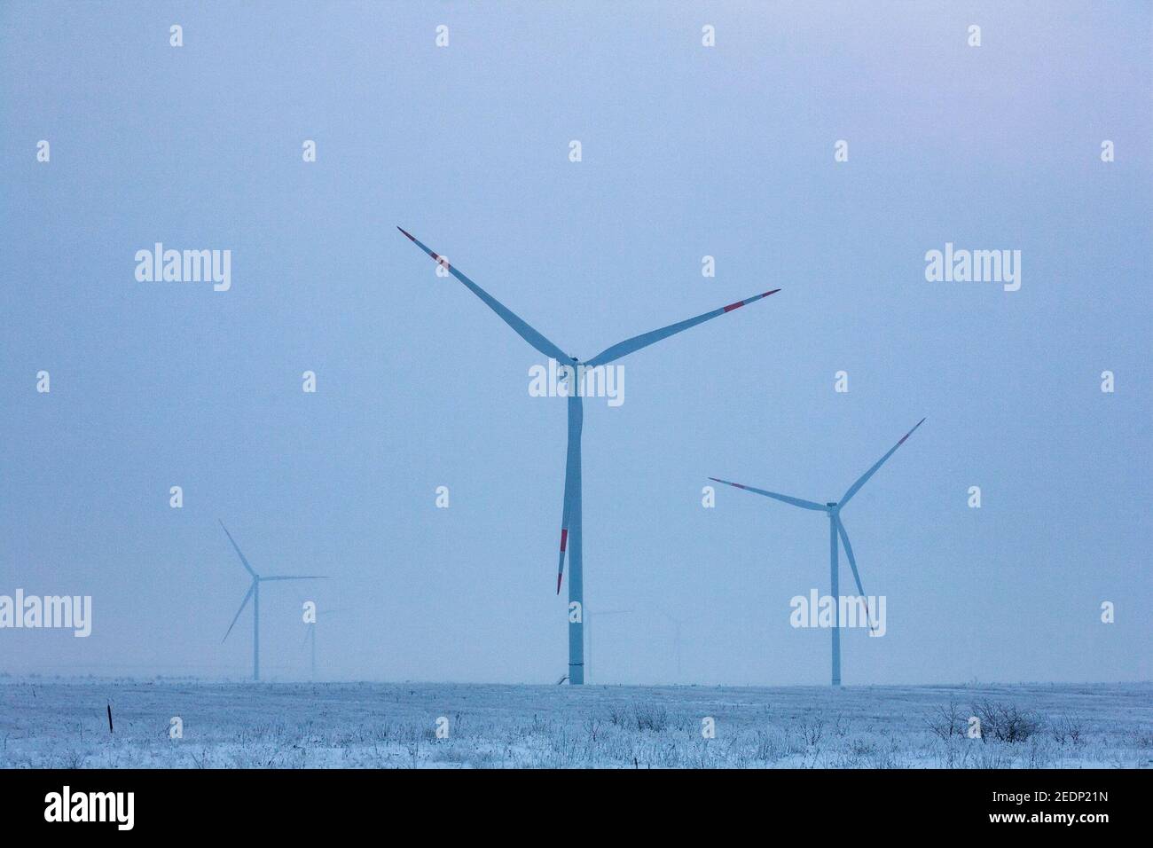 Field of wind turbine towers with large blades in winter on background ...
