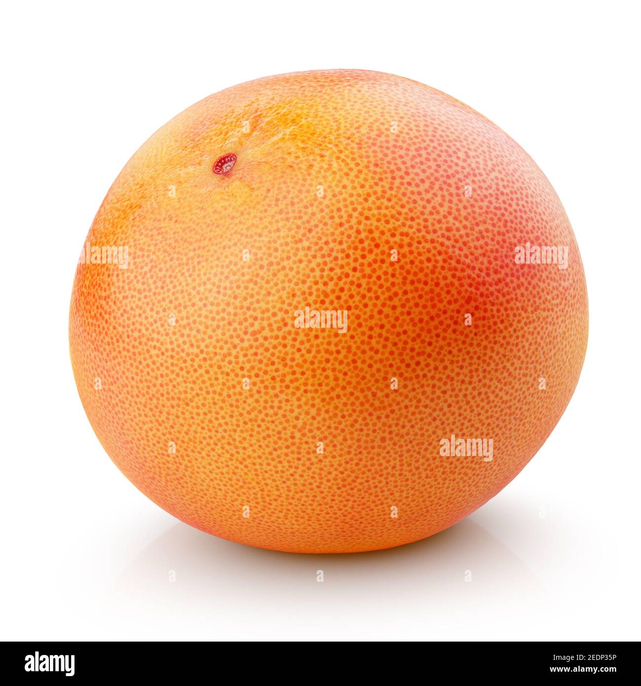 Single grapefruit citrus fruit isolated on white with clipping path ...