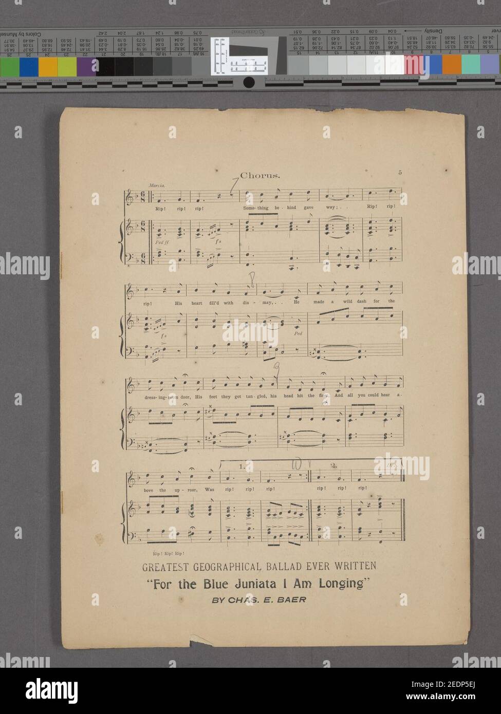 Rip! Rip! Rip! Stock Photo - Alamy