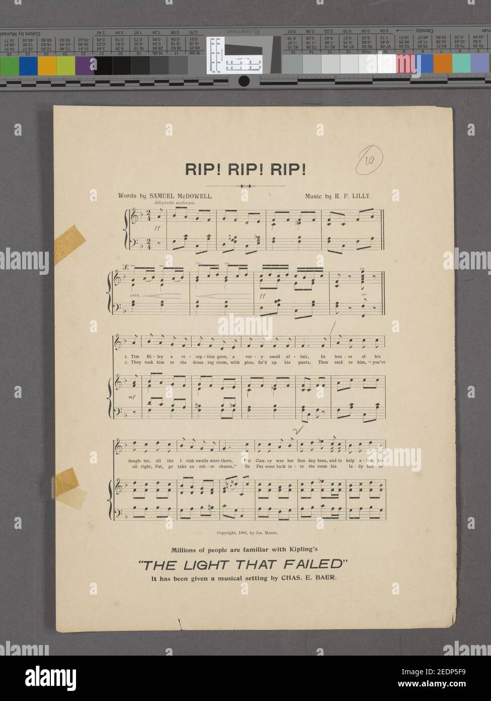 Rip! Rip! Rip! Stock Photo - Alamy