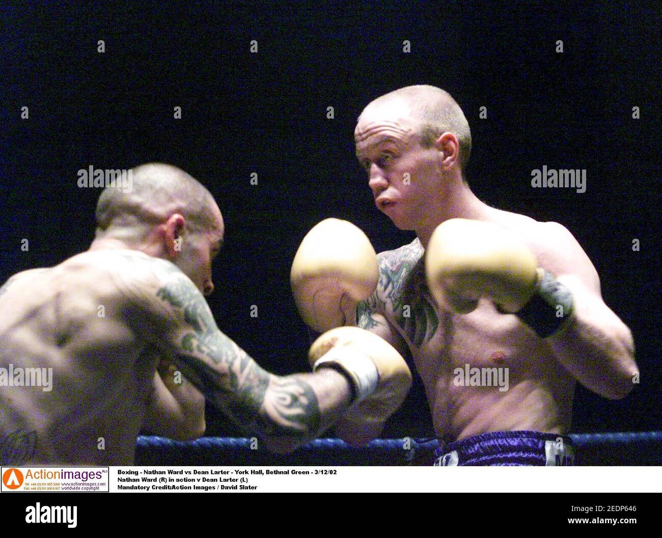 David larter hi-res stock photography and images - Alamy