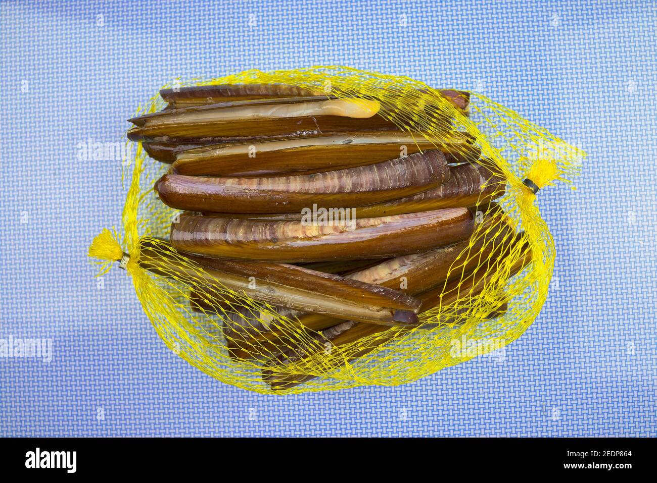 Razor shell hi-res stock photography and images - Alamy