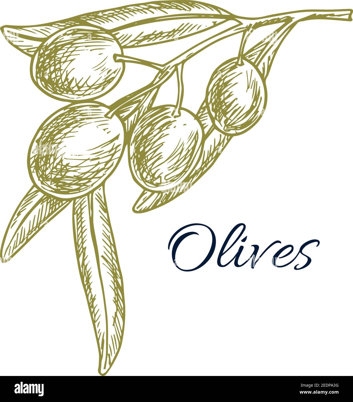 Fruit and vegetable recipe Stock Vector Images - Alamy