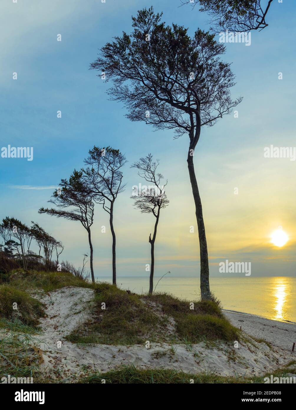 Wind dodgers on hi-res stock photography and images - Alamy