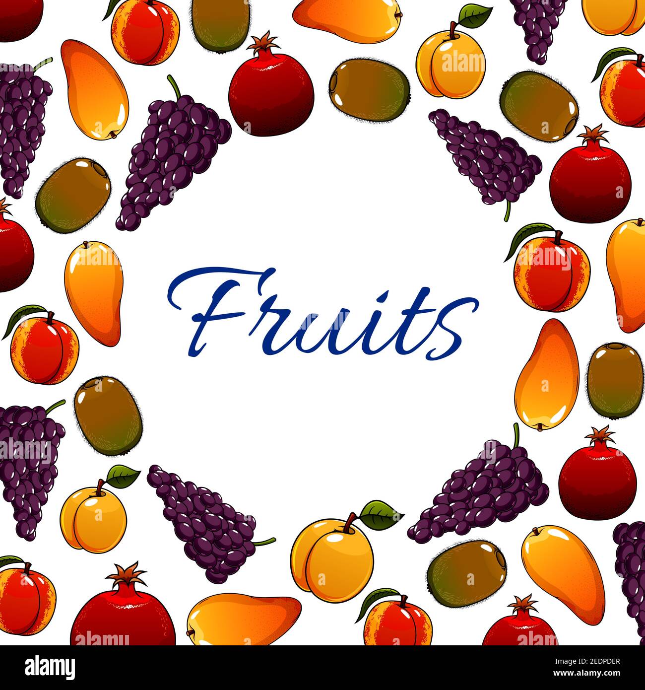 Vector fruits banner with round space for text. Fresh farm fruit flat ...