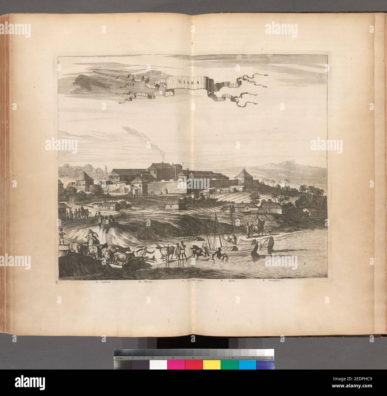 Siara hi-res stock photography and images - Alamy