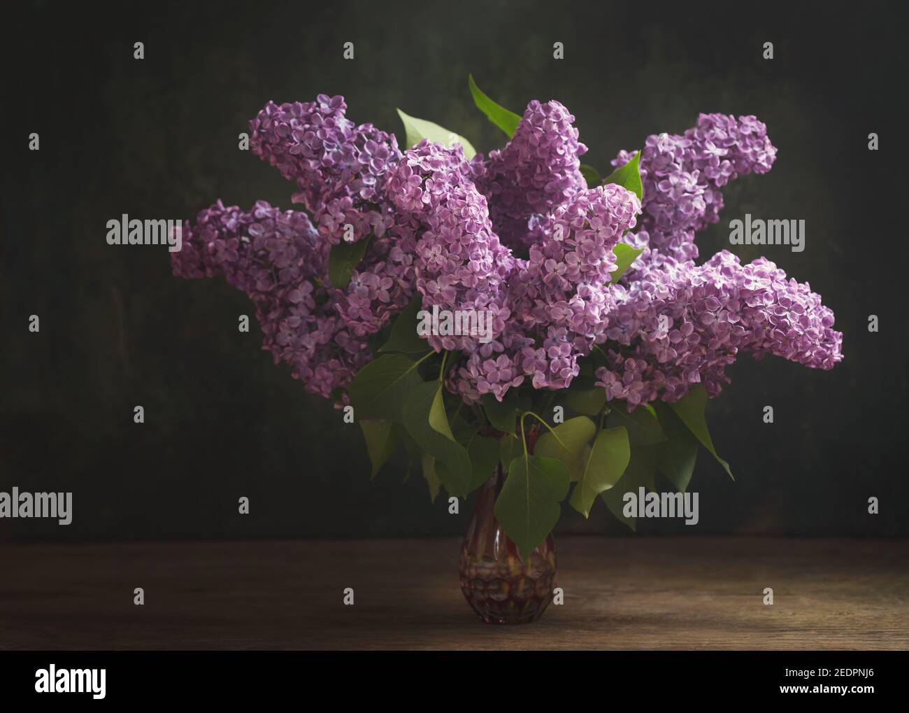 still life with blooming branches of purple lilac Stock Photo - Alamy