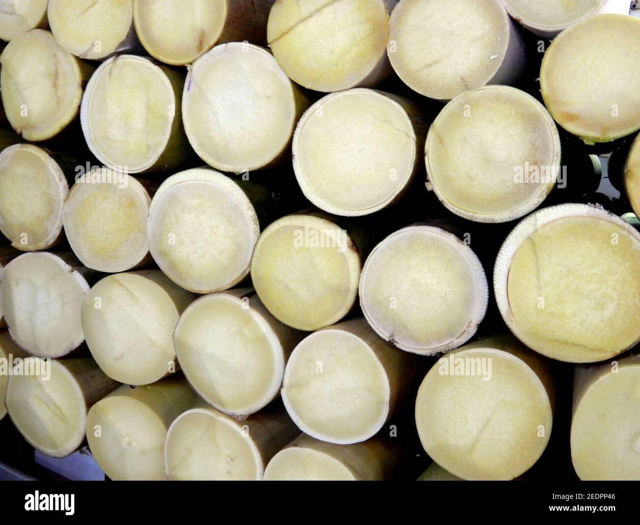 Whole palm hearts Stock Photo - Alamy