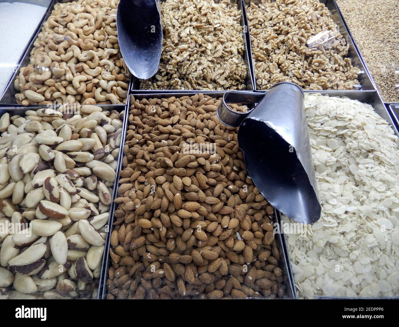 The malabar chestnut tree hi-res stock photography and images - Alamy