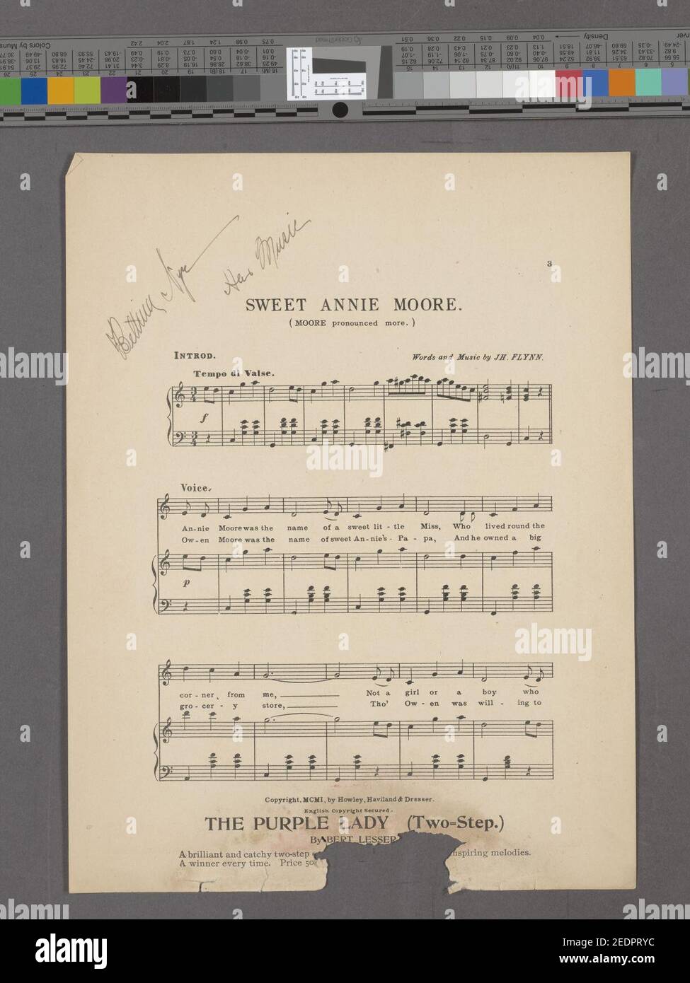 Sweet Annie Moore Stock Photo - Alamy