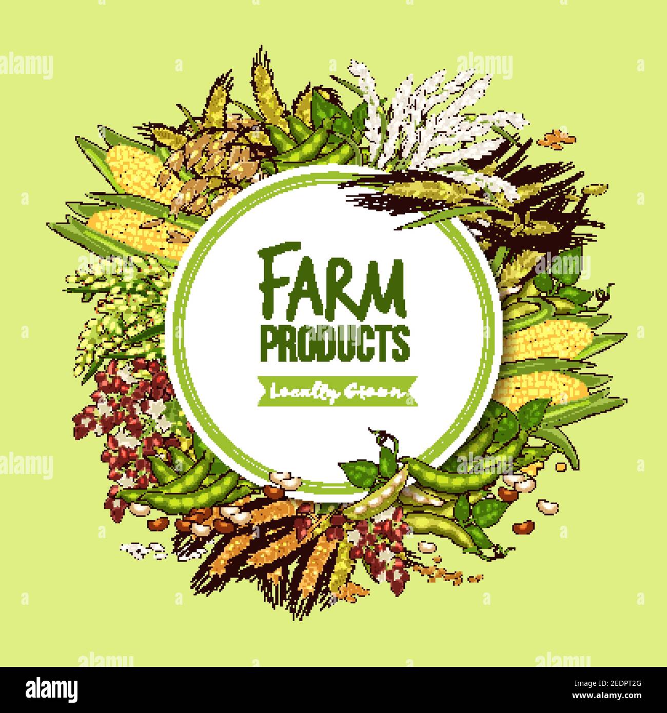 Cereal, vegetable and bean farm product poster. Wheat, rye, soybean pod ...