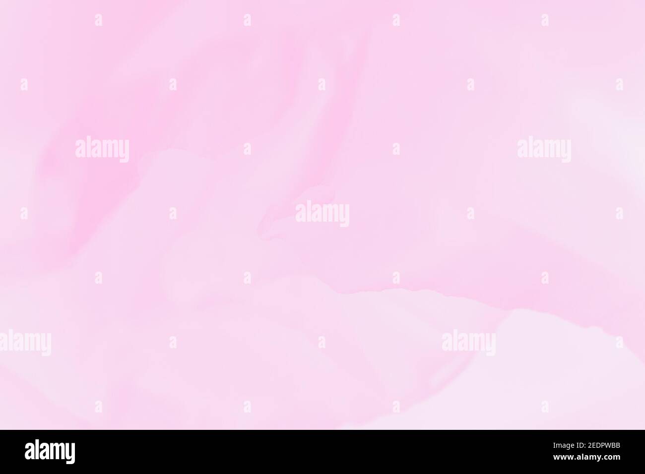 Delicate gentle soft pink abstract background Stock Photo - Alamy